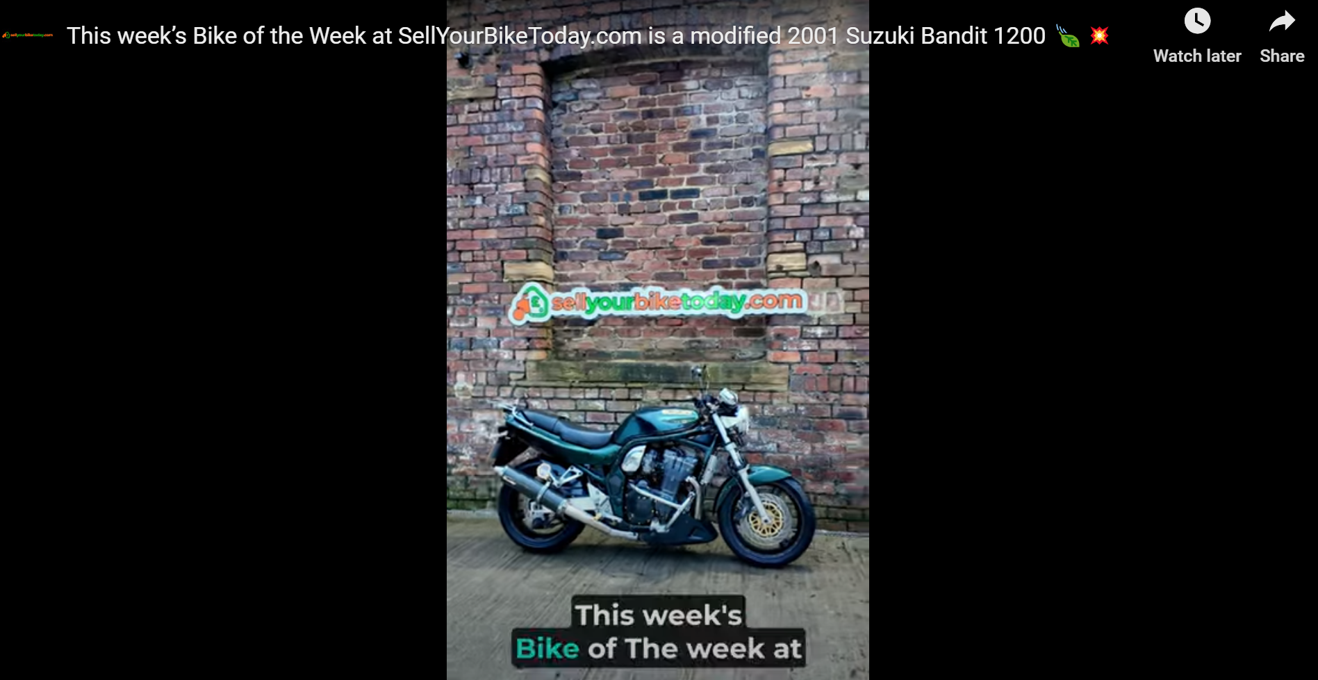 Suzuki Bandit 1200 in rare Y98 Candy Forest Green! 🍃💥 - Sell Your Bike ...